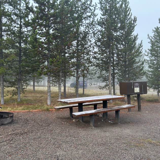 Sheffield Campground | John D. Rockefeller Jr. Memorial Parkway, Wyoming