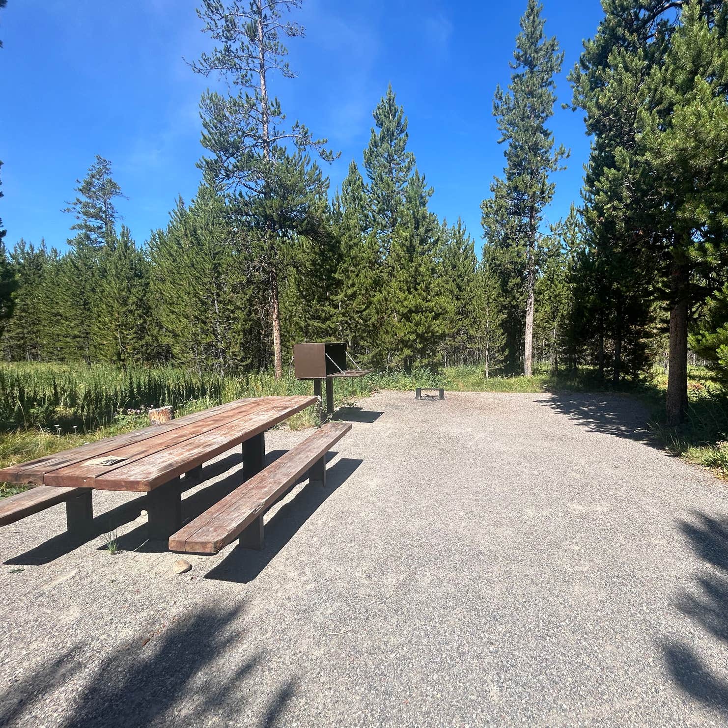 Sheffield Campground | John D. Rockefeller Jr. Memorial Parkway, Wyoming