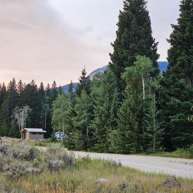 Shell Creek Camping | Shell, Wyoming