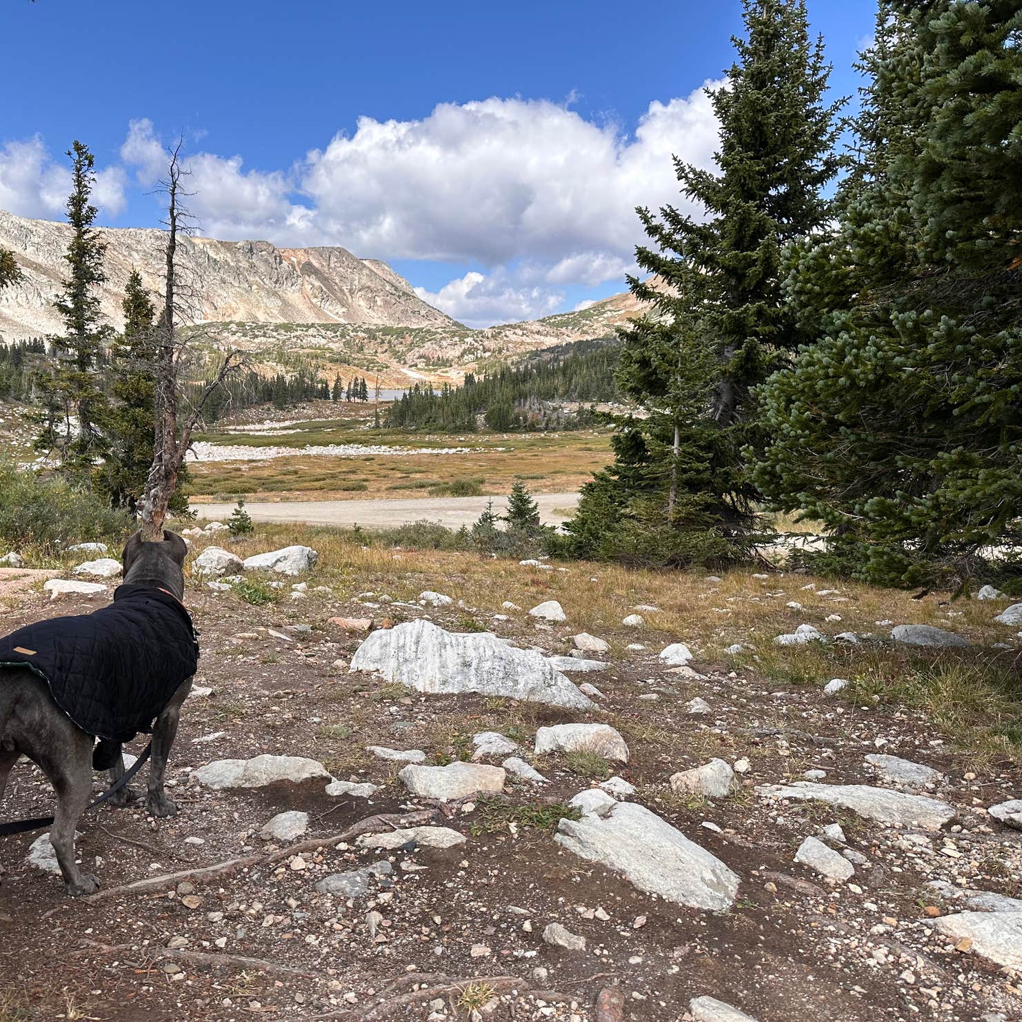 Sugarloaf Campground | Centennial, Wyoming