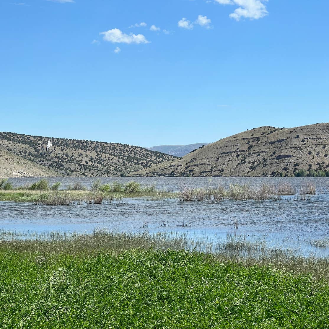 Woodruff Narrows Public Access Area Camping | Woodruff, Utah
