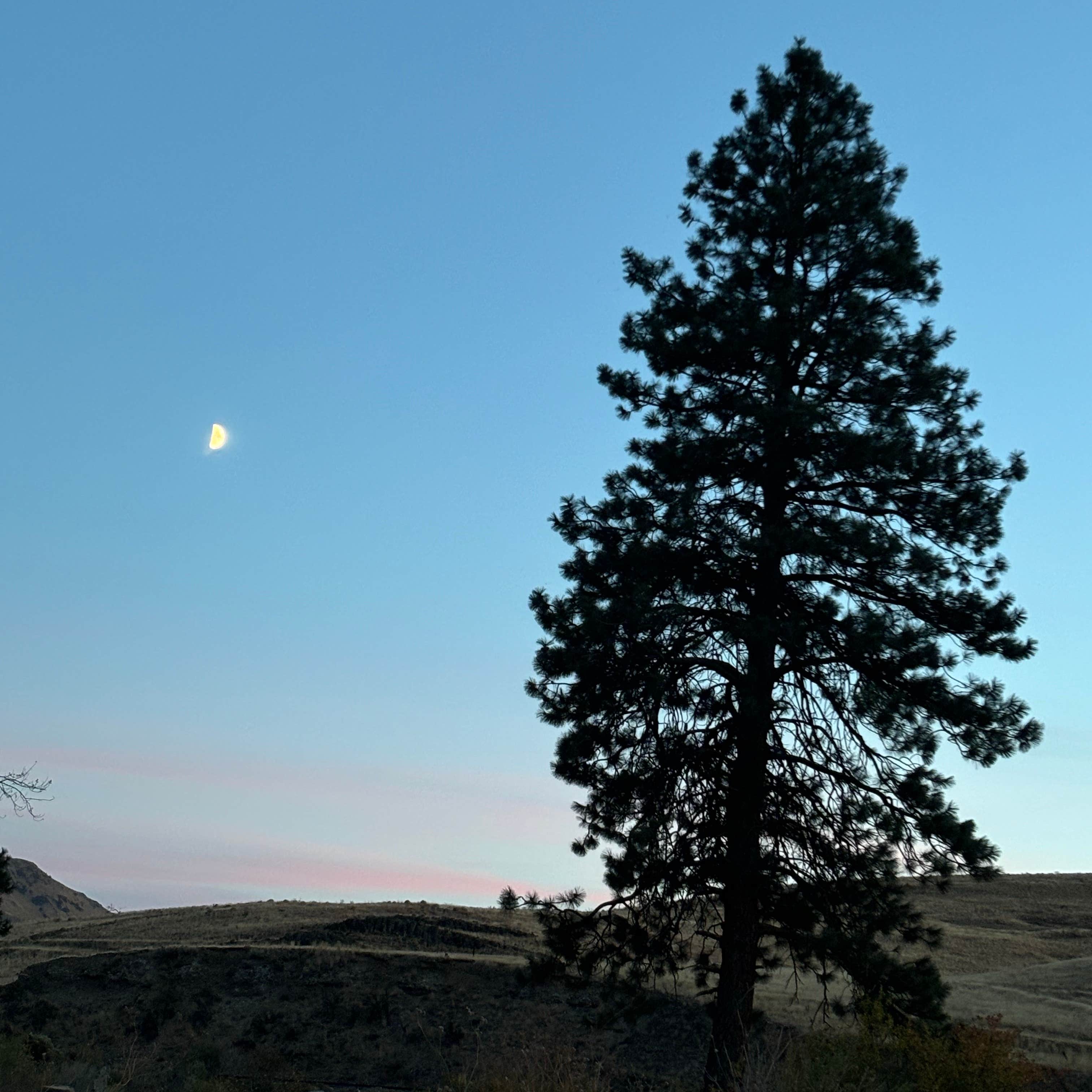 Yakima River Canyon Campgrounds (Umtanum, Lmuma Creek, Big Pines, Roza ...