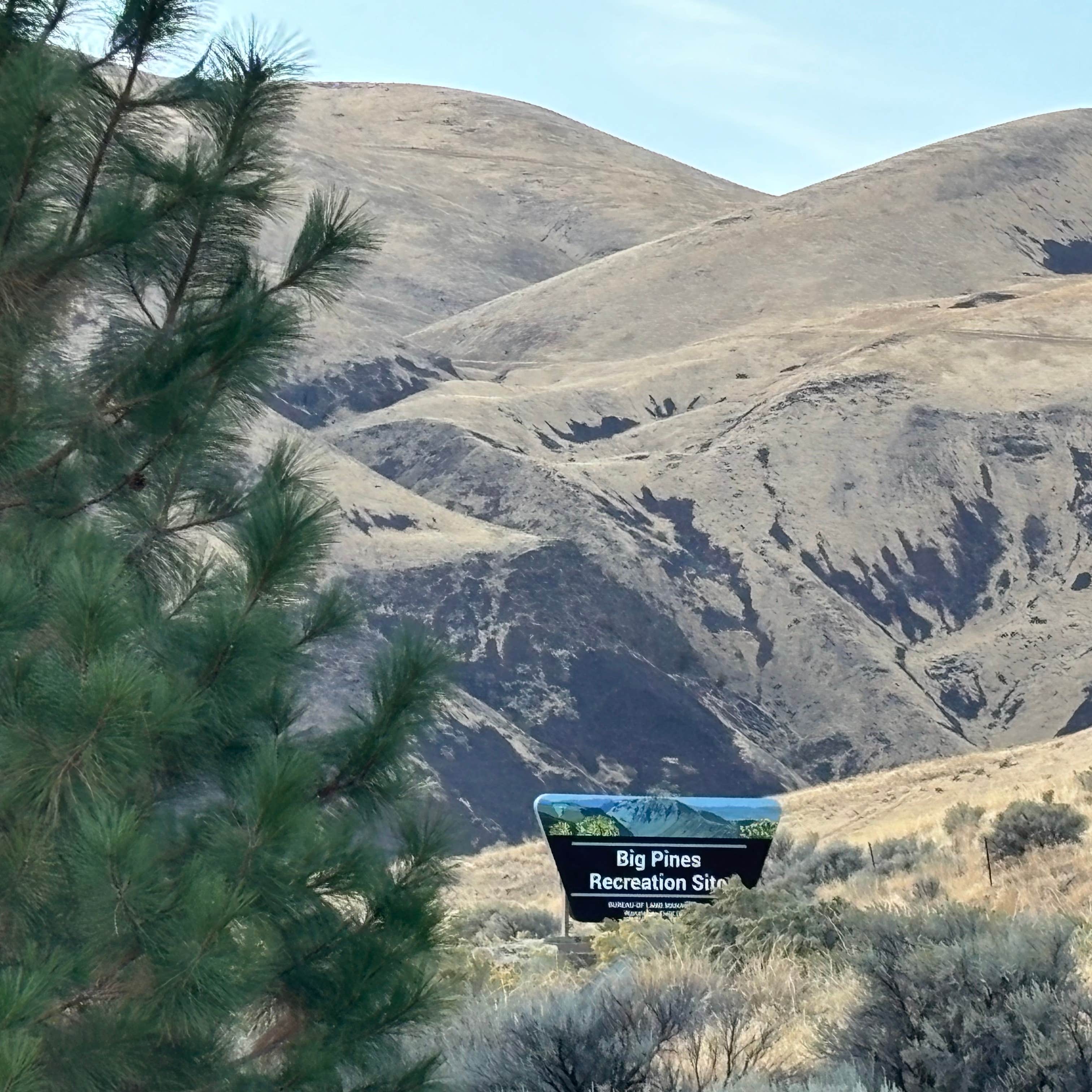 Yakima River Canyon Campgrounds (Umtanum, Lmuma Creek, Big Pines, Roza ...