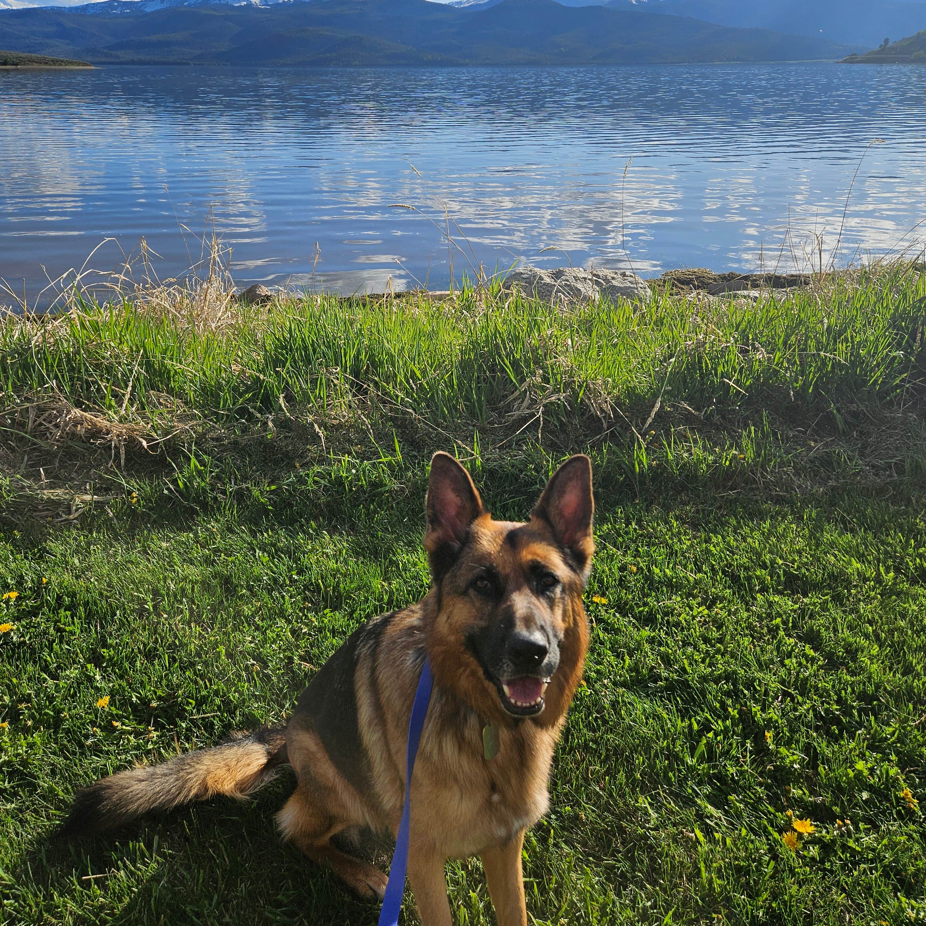 Yellowstone Holiday Resort Camping | West Yellowstone, Montana