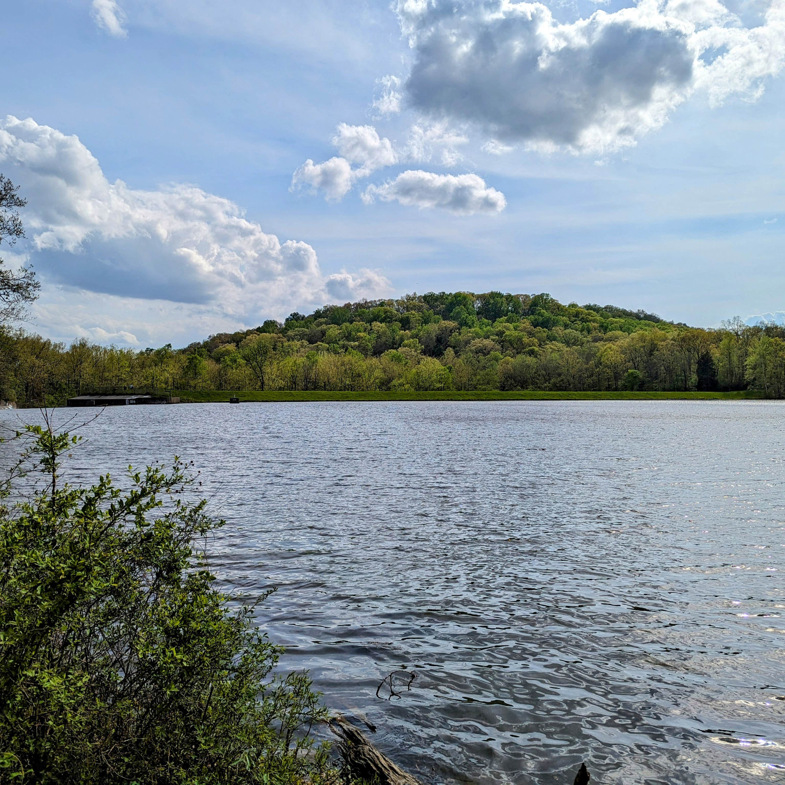 Yellowwood State Forest Camping | Unionville, Indiana