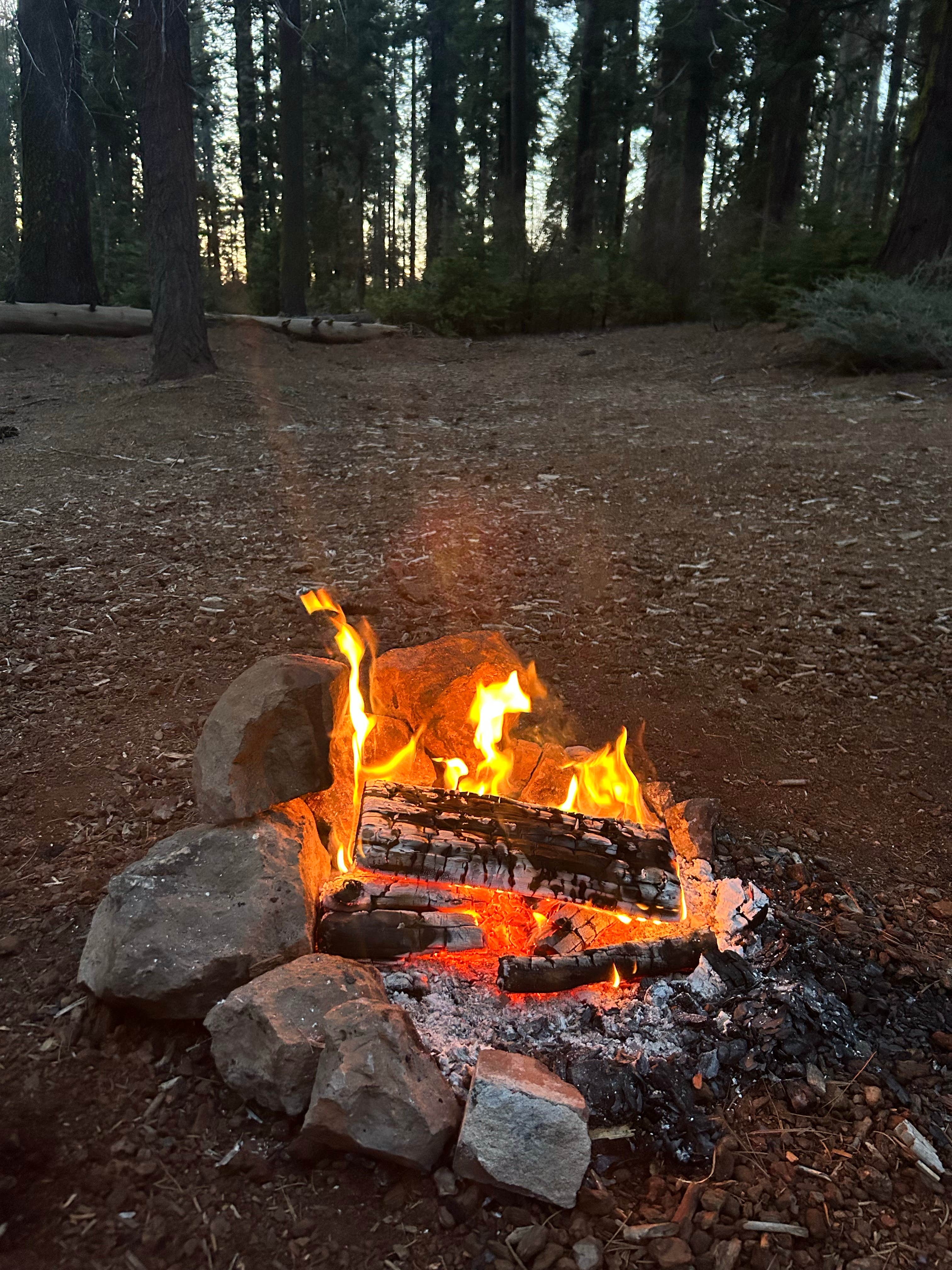 THE 10+ BEST Free Campsites near Yosemite National Park