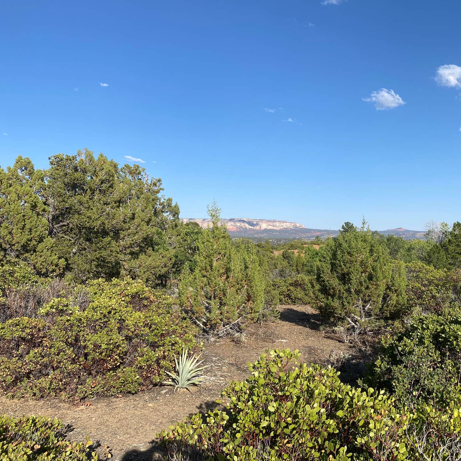 BLM Road #71 Gravel Pit Dispersed - BLM Camping | Mount Carmel Junction ...
