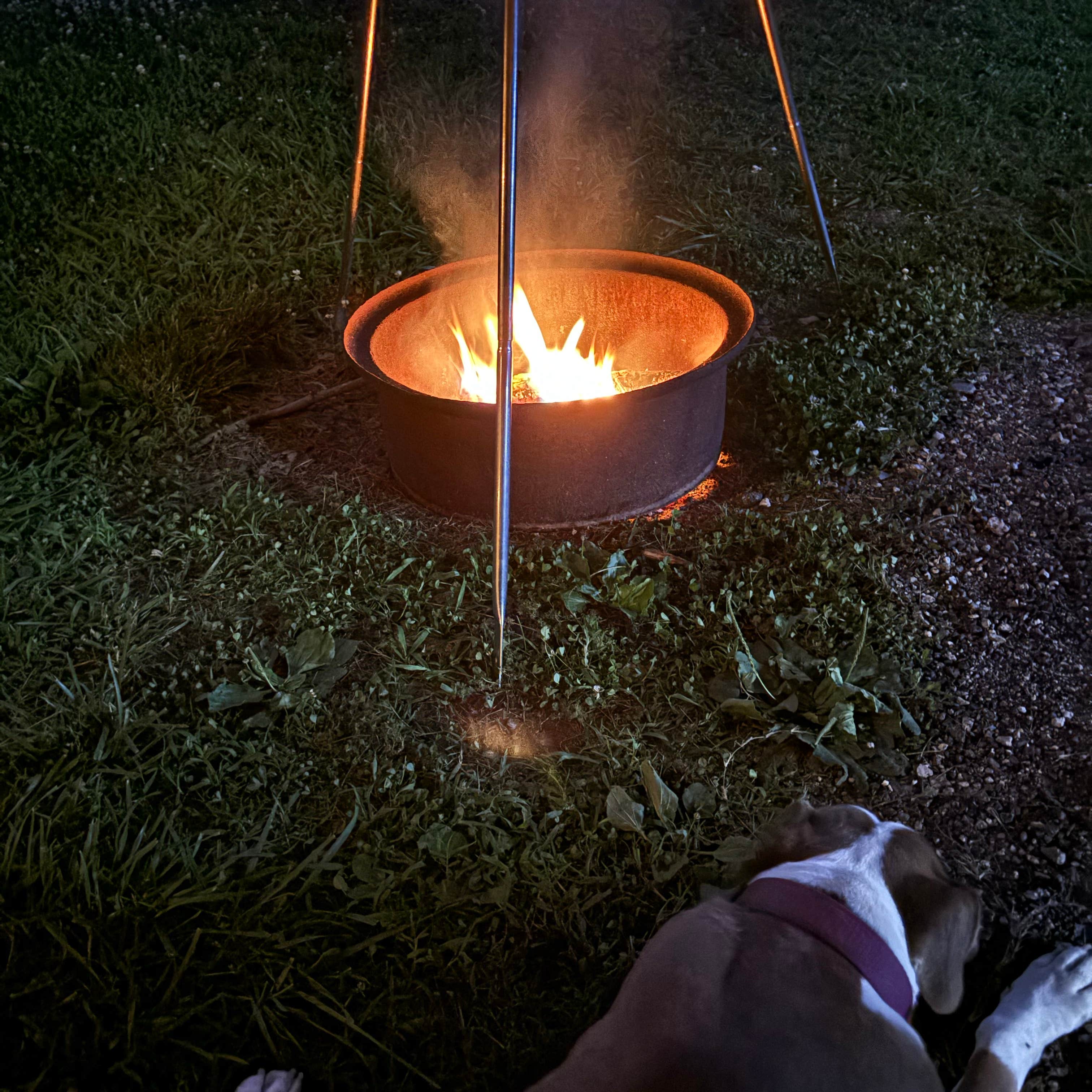 Zooland Family Campground | Cedar Grove, North Carolina