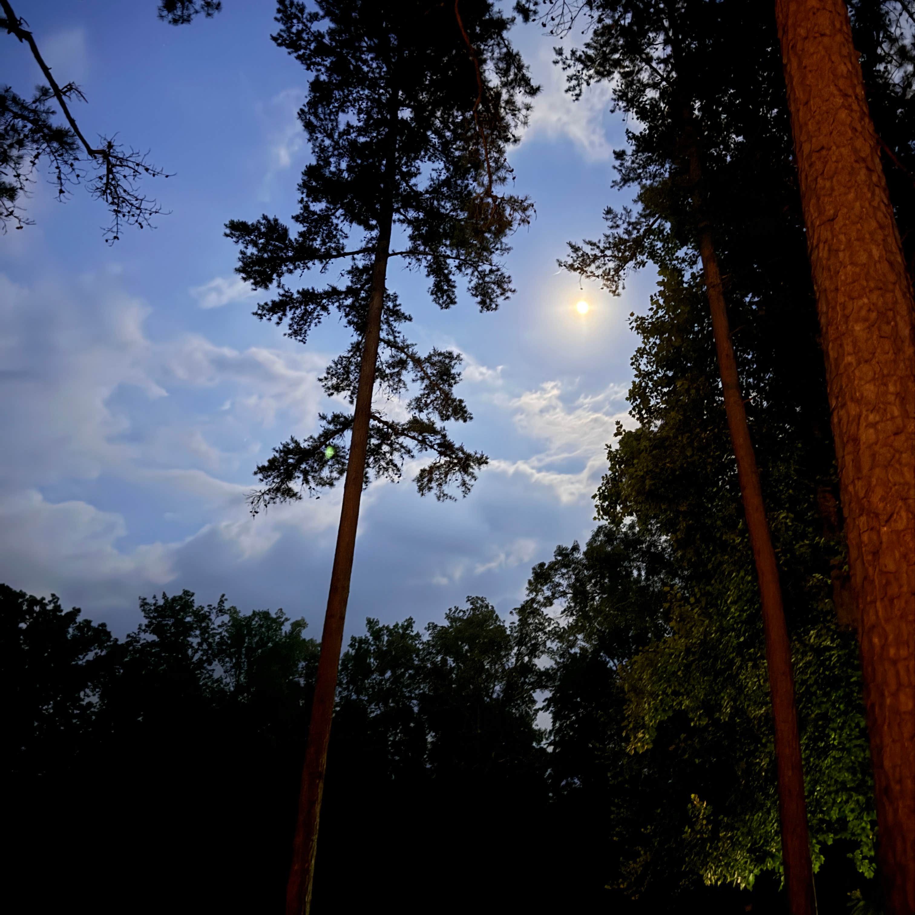 Zooland Family Campground | Cedar Grove, North Carolina